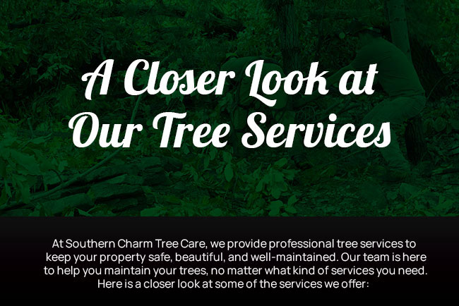 A Closer Look at Our Tree Services [infographic] | Southern Charm Tree Care